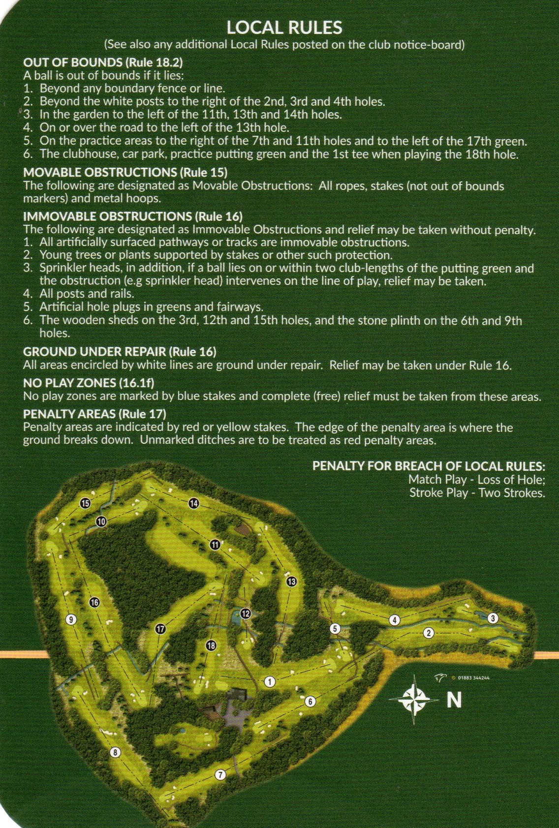 Saving Strokes 1: Read the Local Rules – Golf Rules Guru